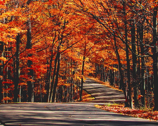 Share the Experience 2025 - Entry Info - Hosier National Forest