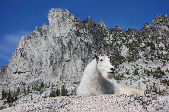 Share the Experience 2024 - Entry Info - Core Enchantment Zone ...