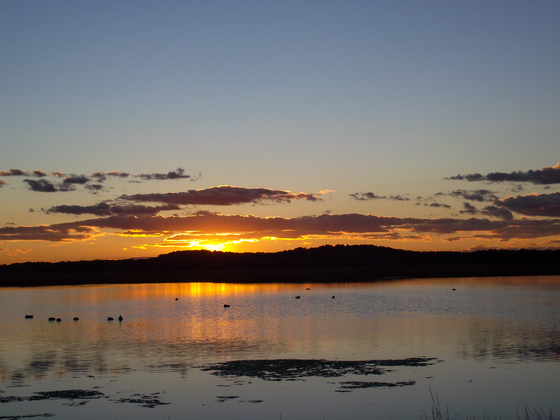 Share the Experience 2024 - Entry Info - Parker River National Wildlife ...