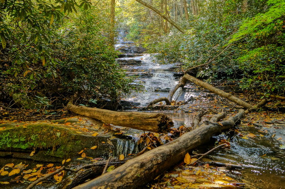 Share the Experience 2025 - Entry Info - Chattahoochee-Oconee National Park