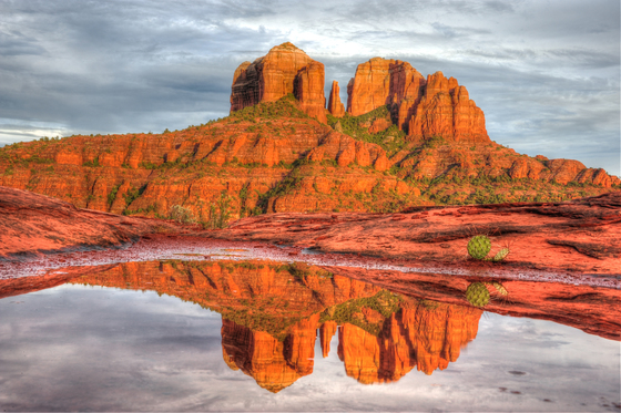 Share the Experience 2025 - Entry Info - Coconino National Forest ...