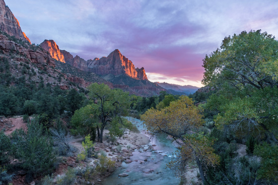 Share the Experience 2024 - Entry Info - Zion National Park