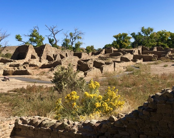 Share the Experience 2025 - Entry Info - Aztec Ruins National Monument