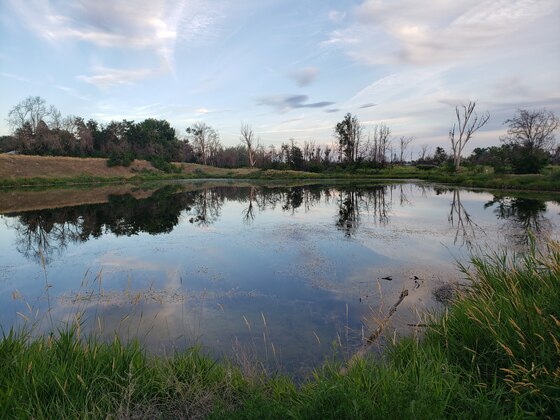 Share the Experience 2025 - Entry Info - Lake Wallula