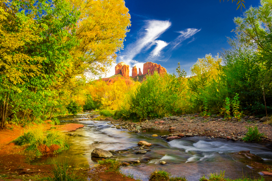 Share the Experience 2025 - Entry Info - Coconino National Forest