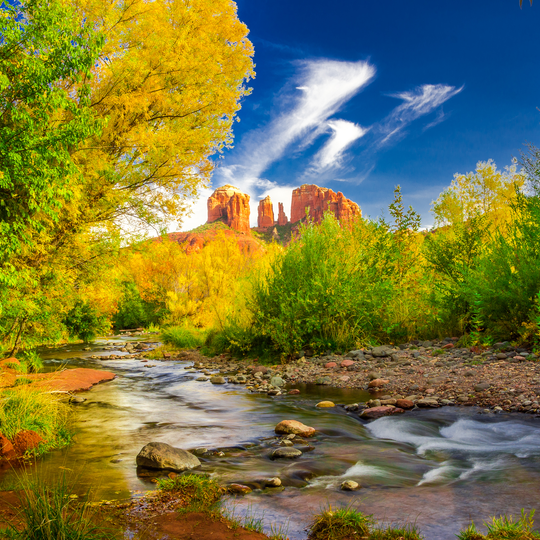 Share the Experience | home