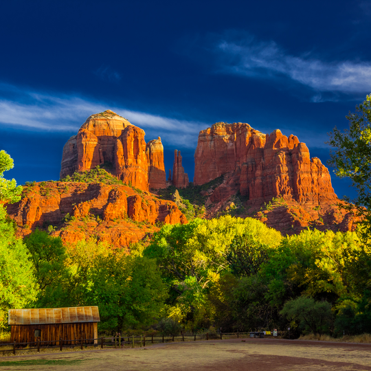 Share the Experience | home