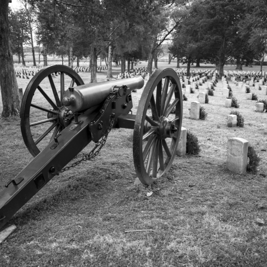 Share the Experience | home