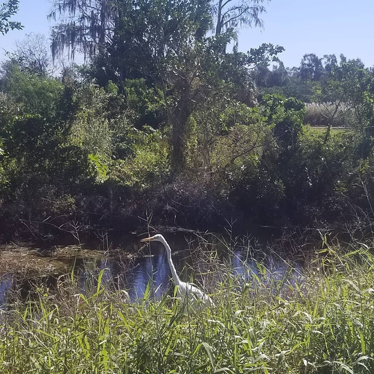 Share the Experience | Arthur R. Marshall Loxahatchee National Wildlife ...