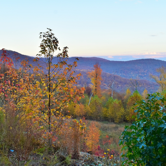 Share the Experience | Ozark–St. Francis National Forest