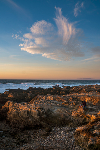 Share the Experience 2025 - Entry Info - California Coastal National ...
