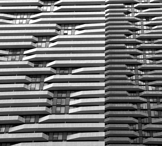 Shot On Nikon 2021 - Entry Info - The Building Outer Walls Pattern