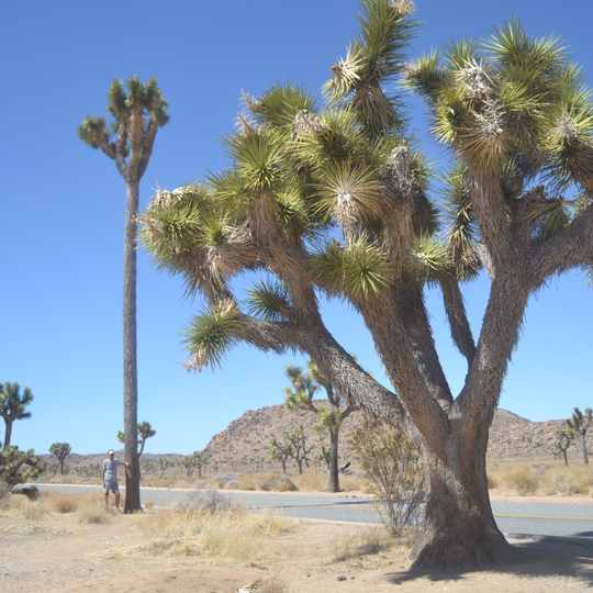 Share the Experience | home