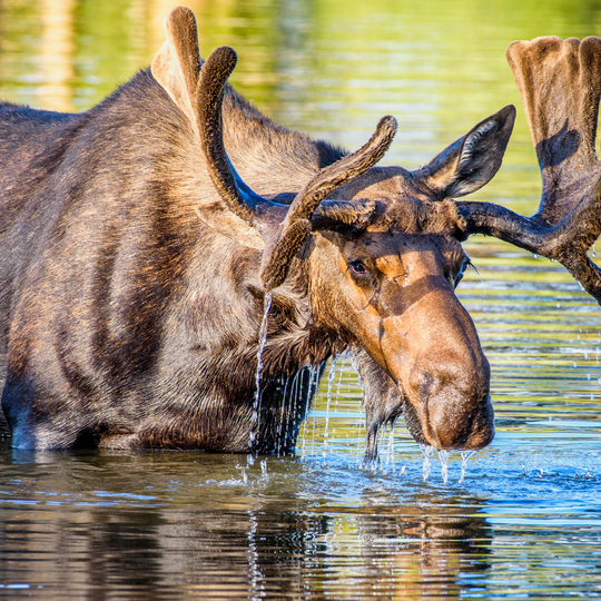 Share the Experience | home