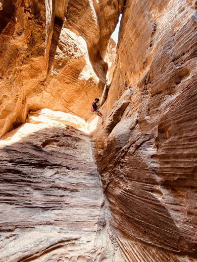 Share the Experience 2025 - Entry Info - Lambs Knoll-Zion National Park