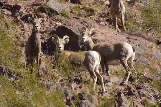Share the Experience 2024 - Entry Info - Historic Railrod Tunnel Trailhead