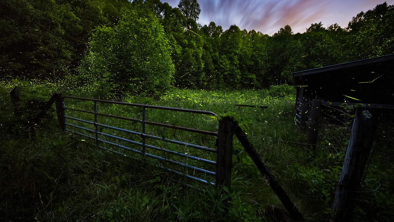 Share the Experience 2024