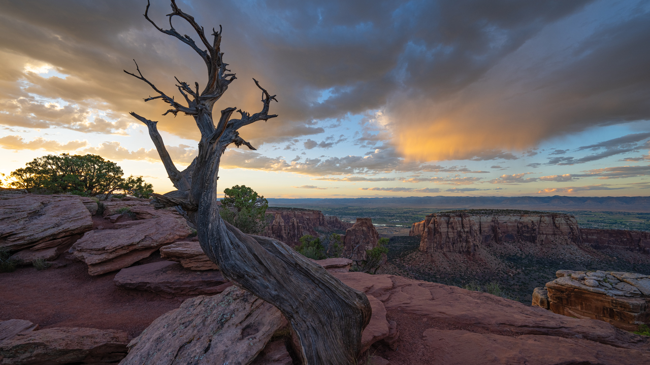 Share the Experience 2024