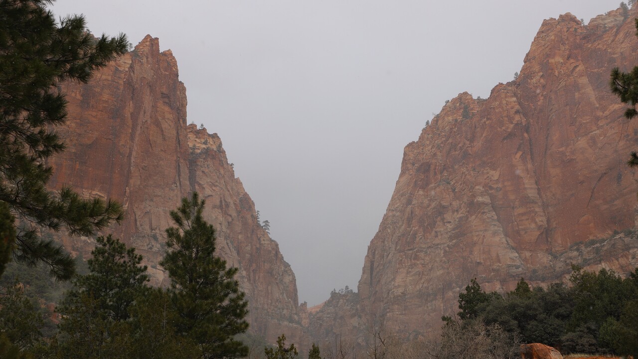 Share the Experience 2024