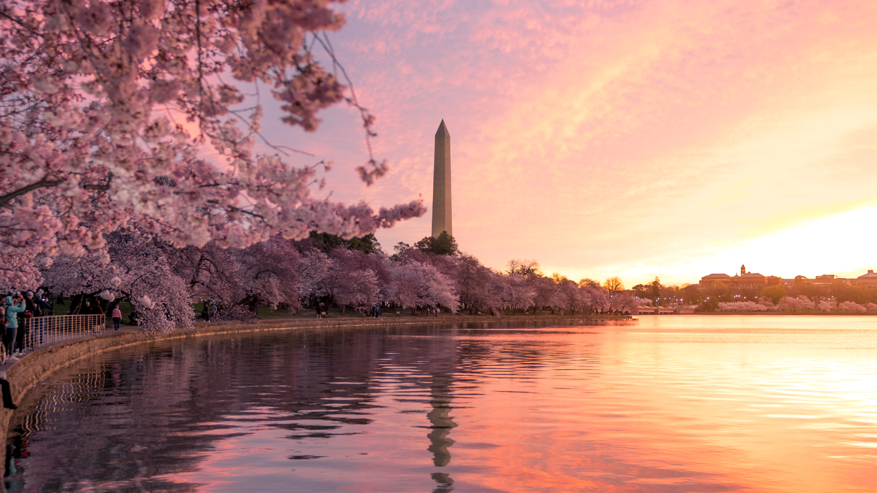 Share the Experience 2024