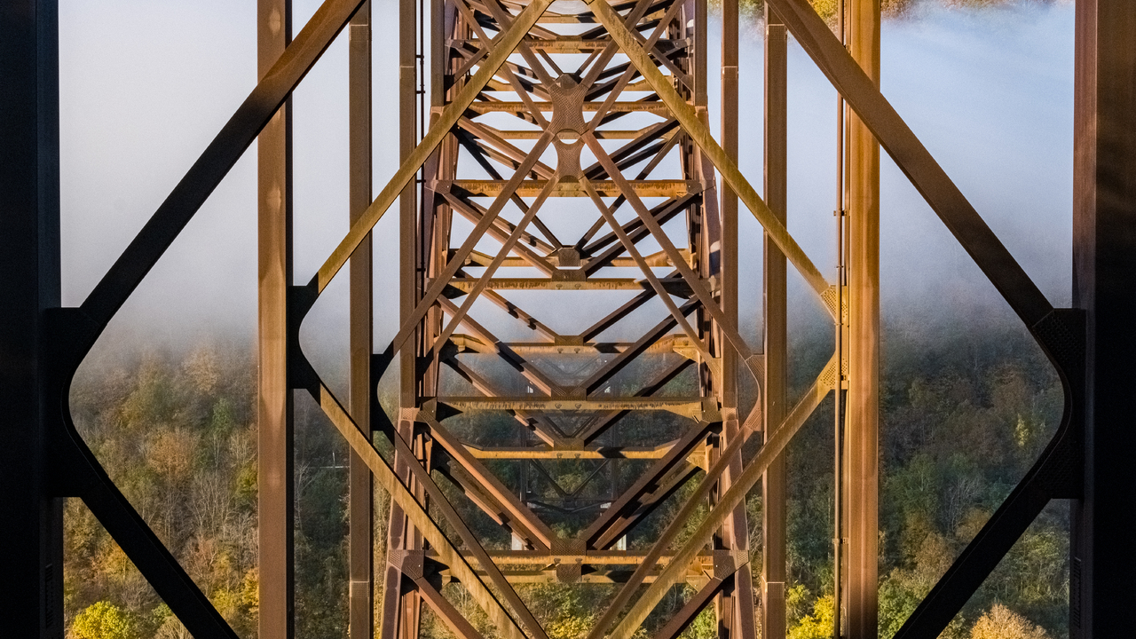 Share the Experience 2024