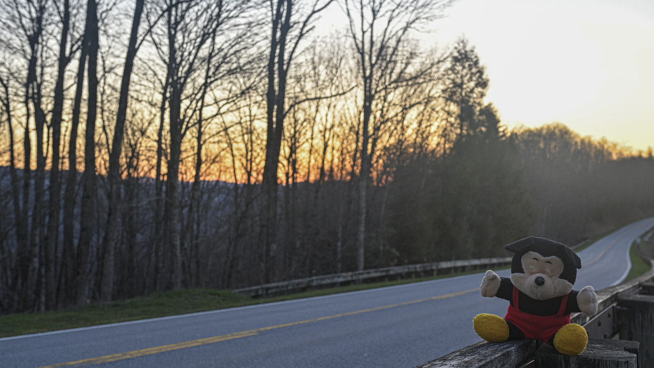 Share the Experience 2024