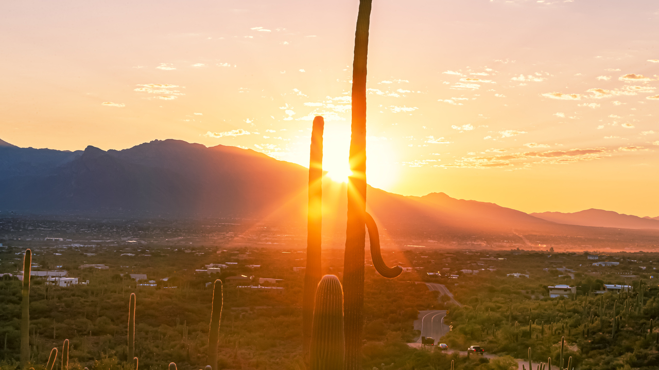 Share the Experience 2024