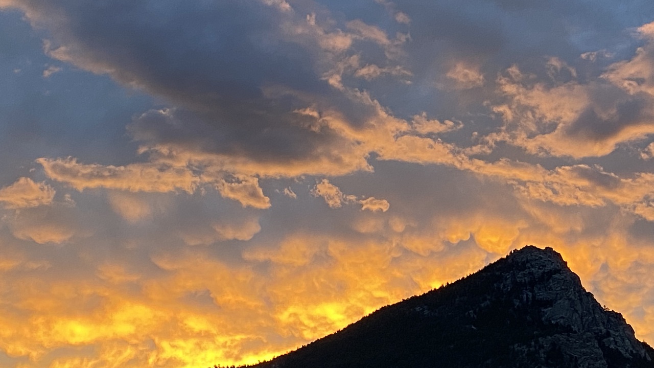 Share the Experience 2024