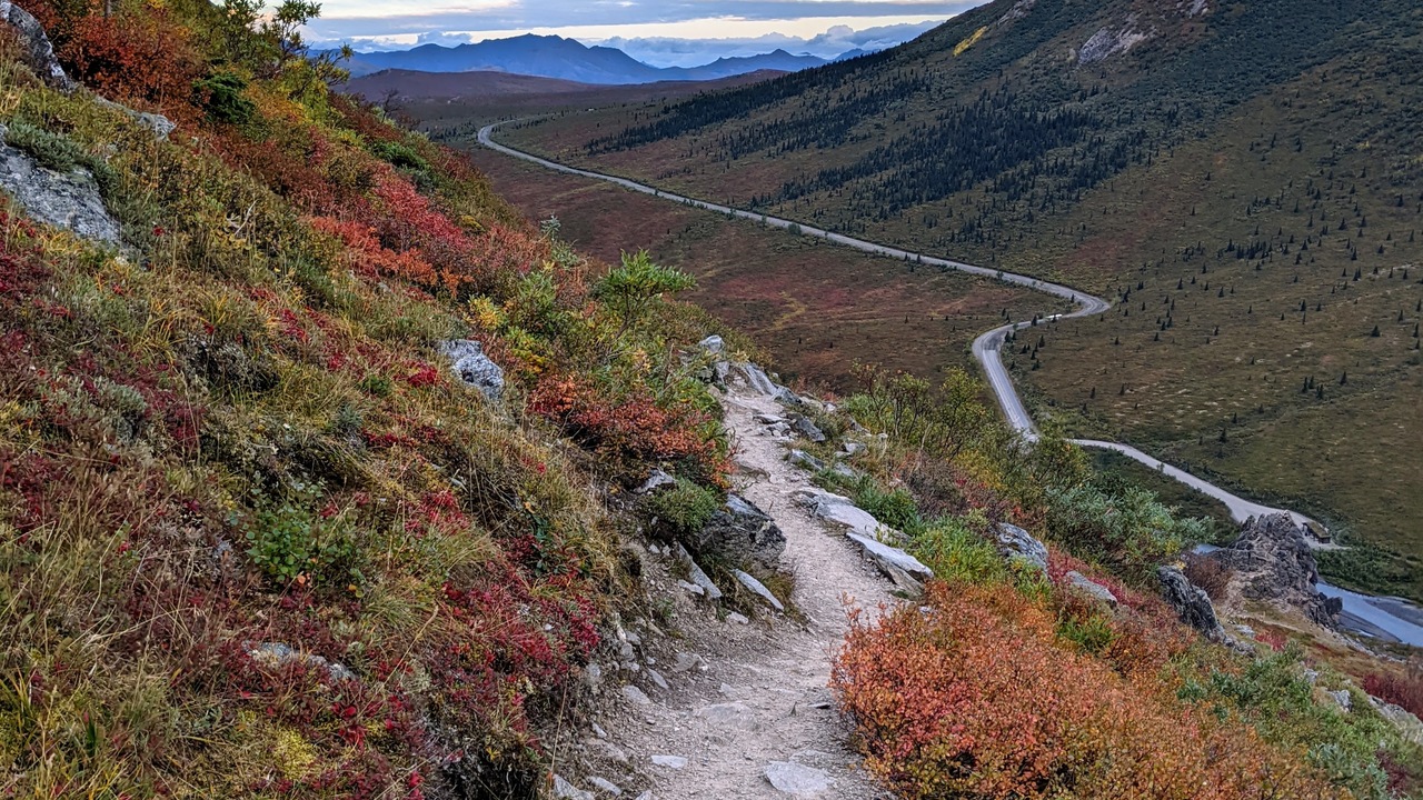 Share the Experience 2024