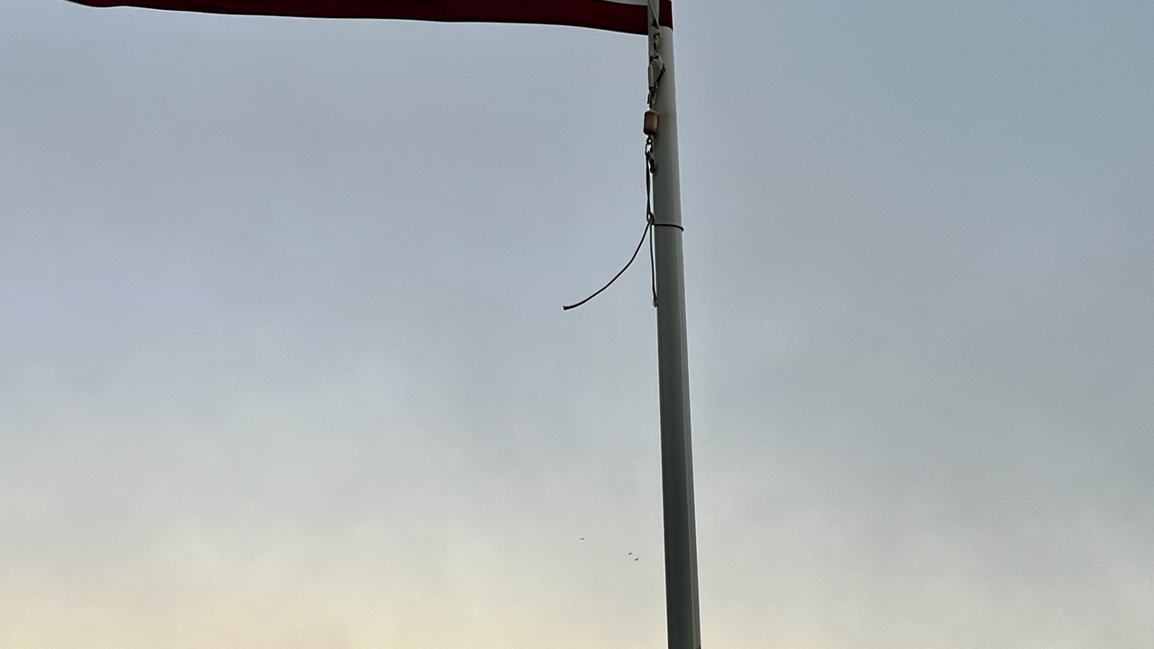 Share the Experience 2024