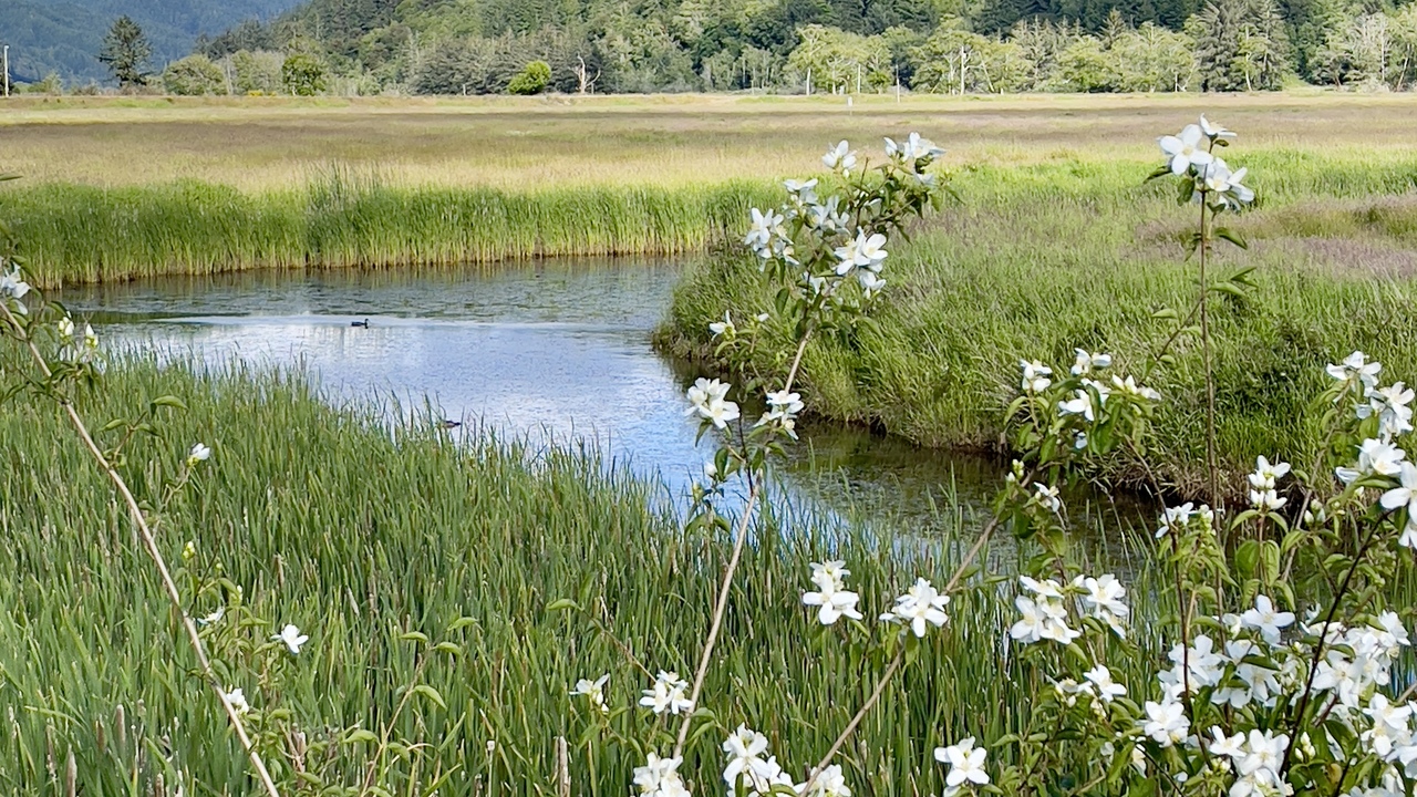 Share the Experience 2024