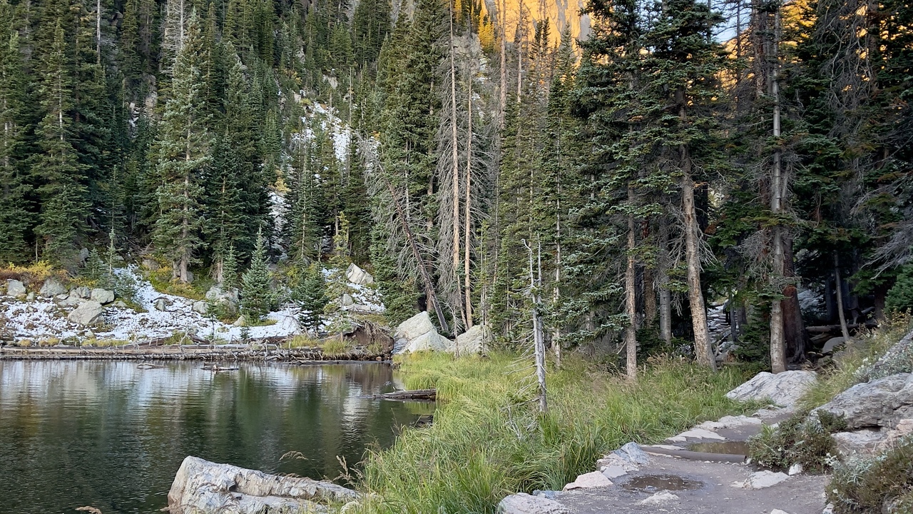 Share the Experience 2024