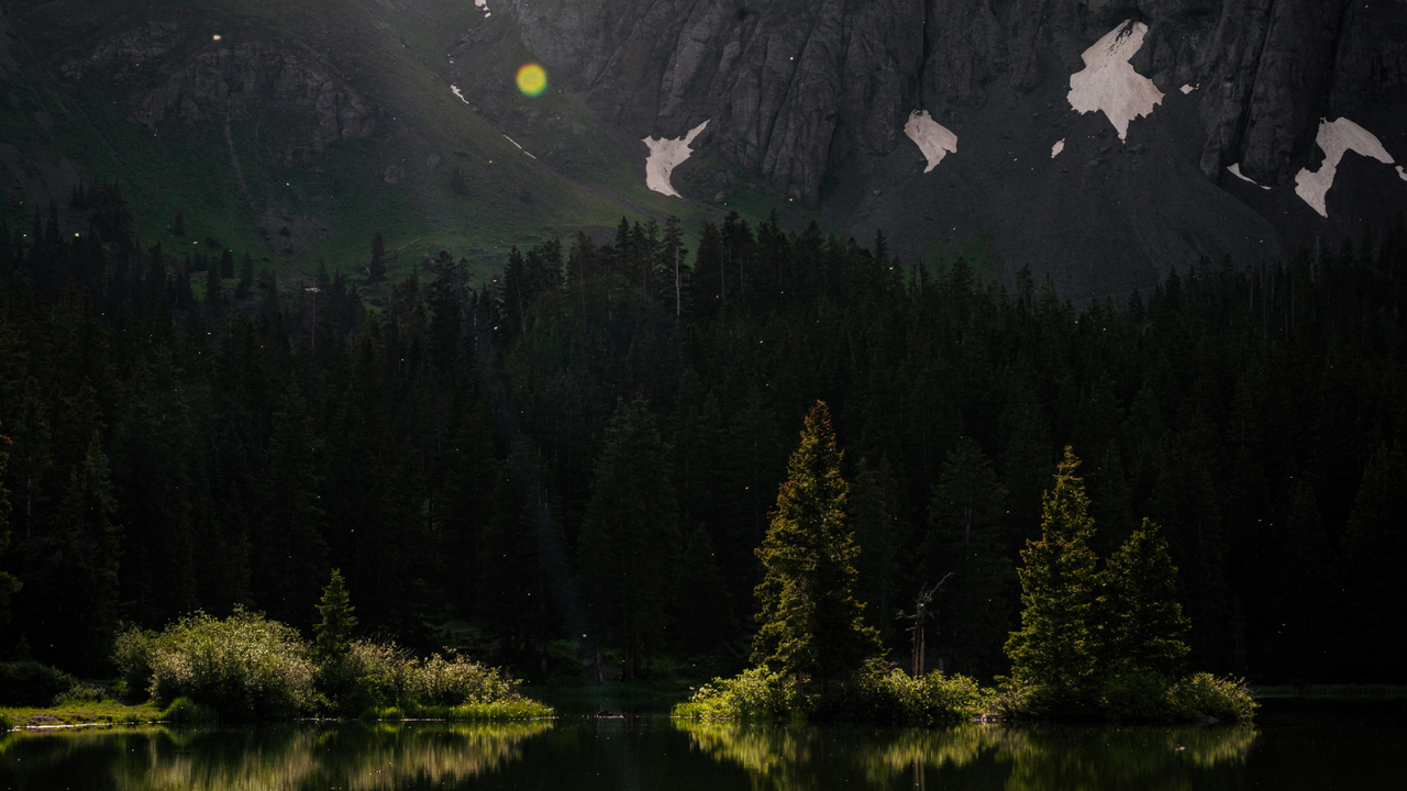 Share the Experience 2024