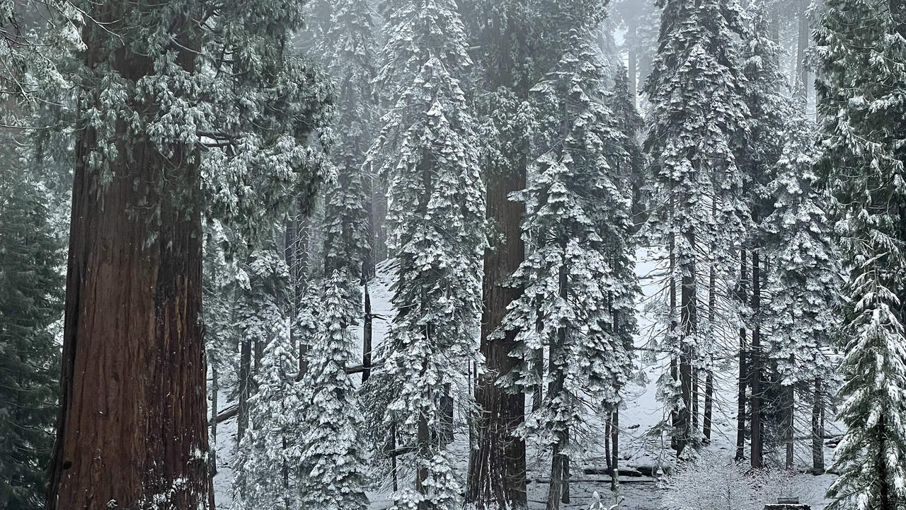 Share the Experience 2024