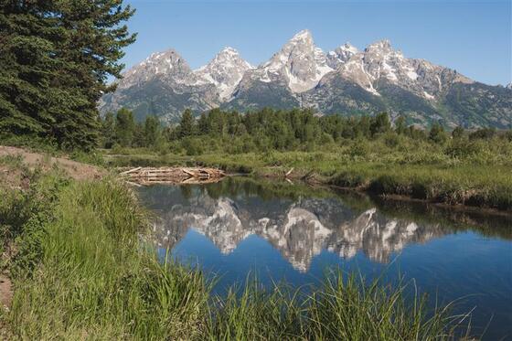 Share the Experience 2025 - Entry Info - Grand Teton National Park