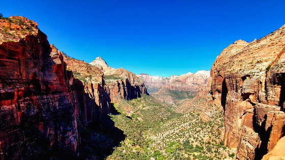 Share the Experience 2025 - Entry Info - Zion National Park