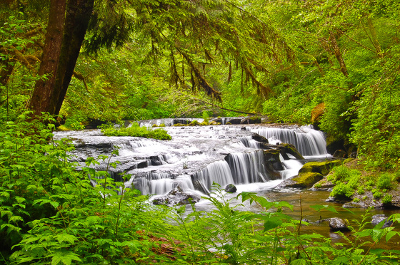 Share the Experience 2025 - Entry Info - Siuslaw National Forest