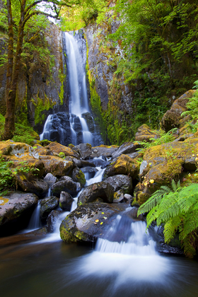 Share the Experience 2024 - Entry Info - Siuslaw National Forest